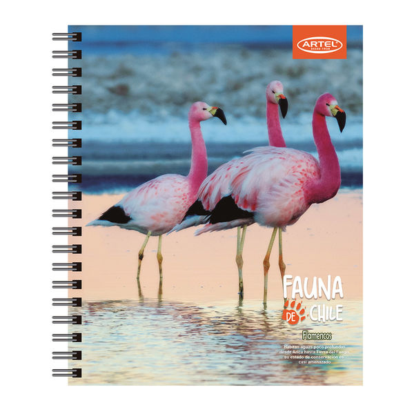 Cuaderno Universitario Artel 100 Hojas 7Mm Animales De Chile
